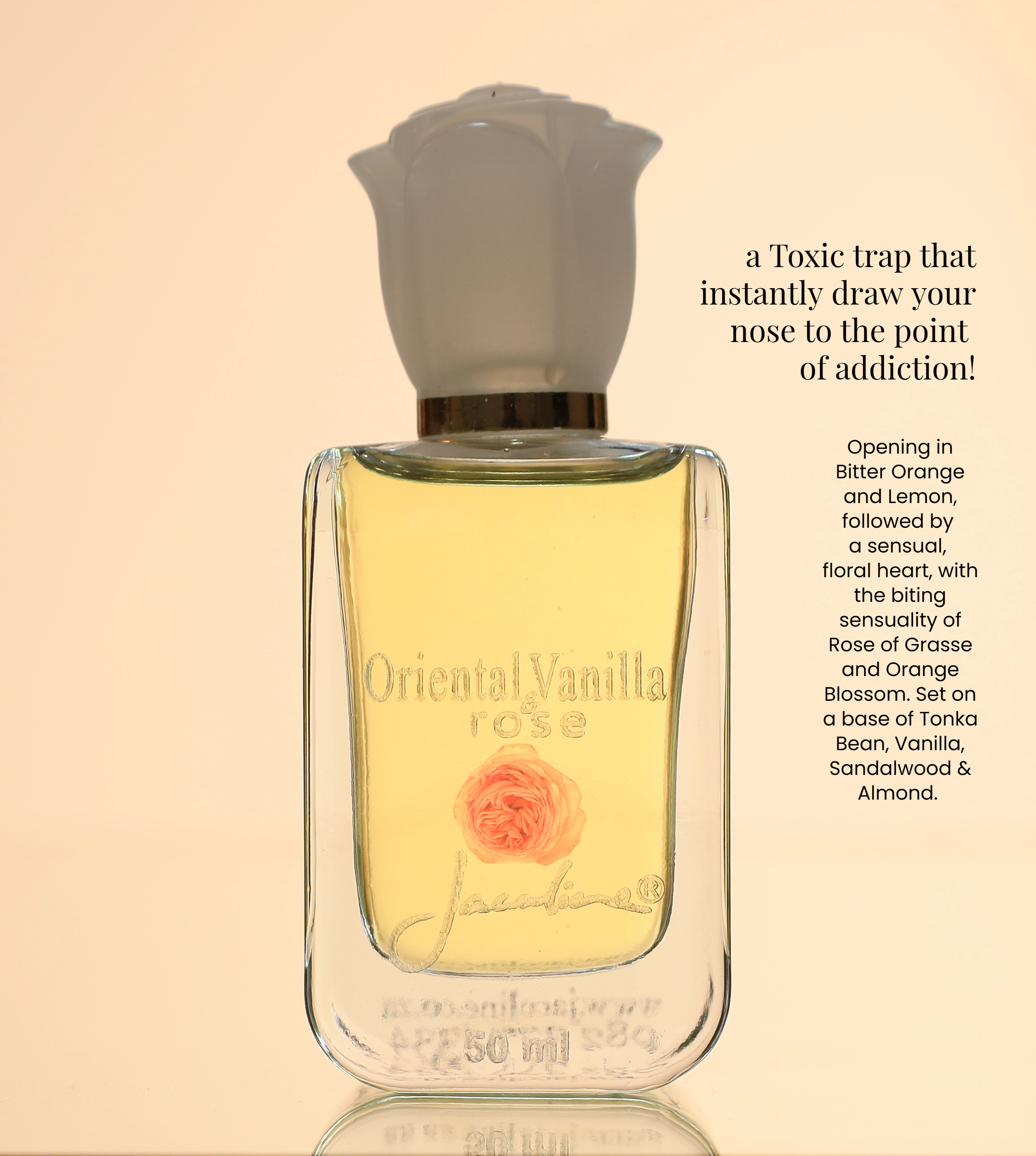 Oriental Vanilla & Rose